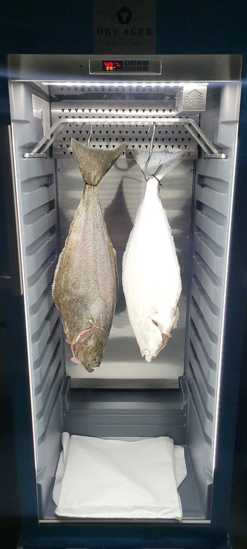 Dry Aging – Elevating Alaskan Seafood – Jolly Wally's